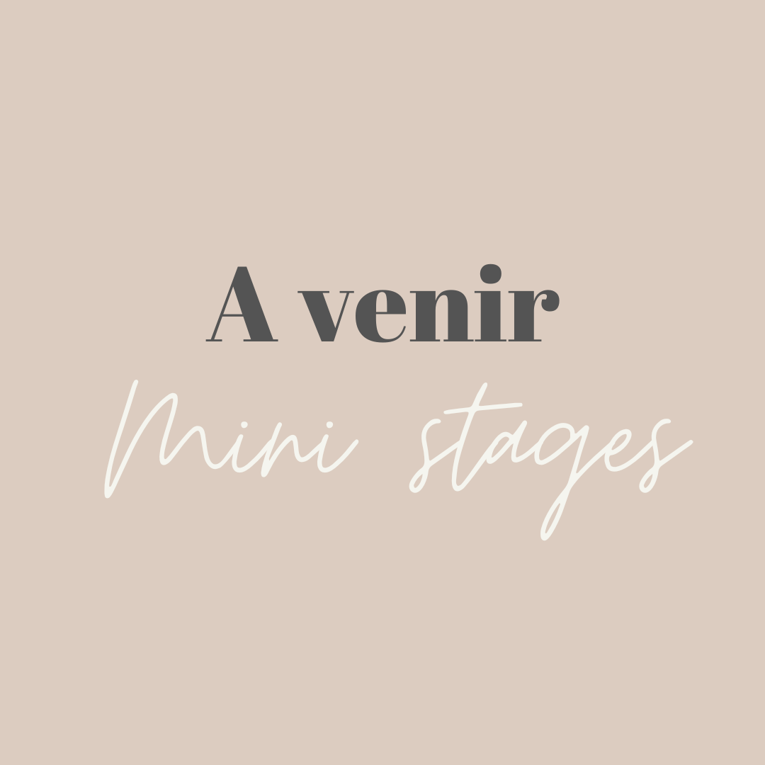 A venir - Mini stages 2024 - Lycée de l'Atlantique Royan